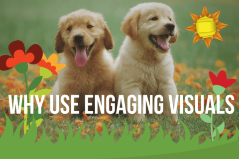 Engaging Visual Content