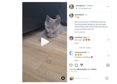 What Does NF Mean on Instagram? Why It Matters!